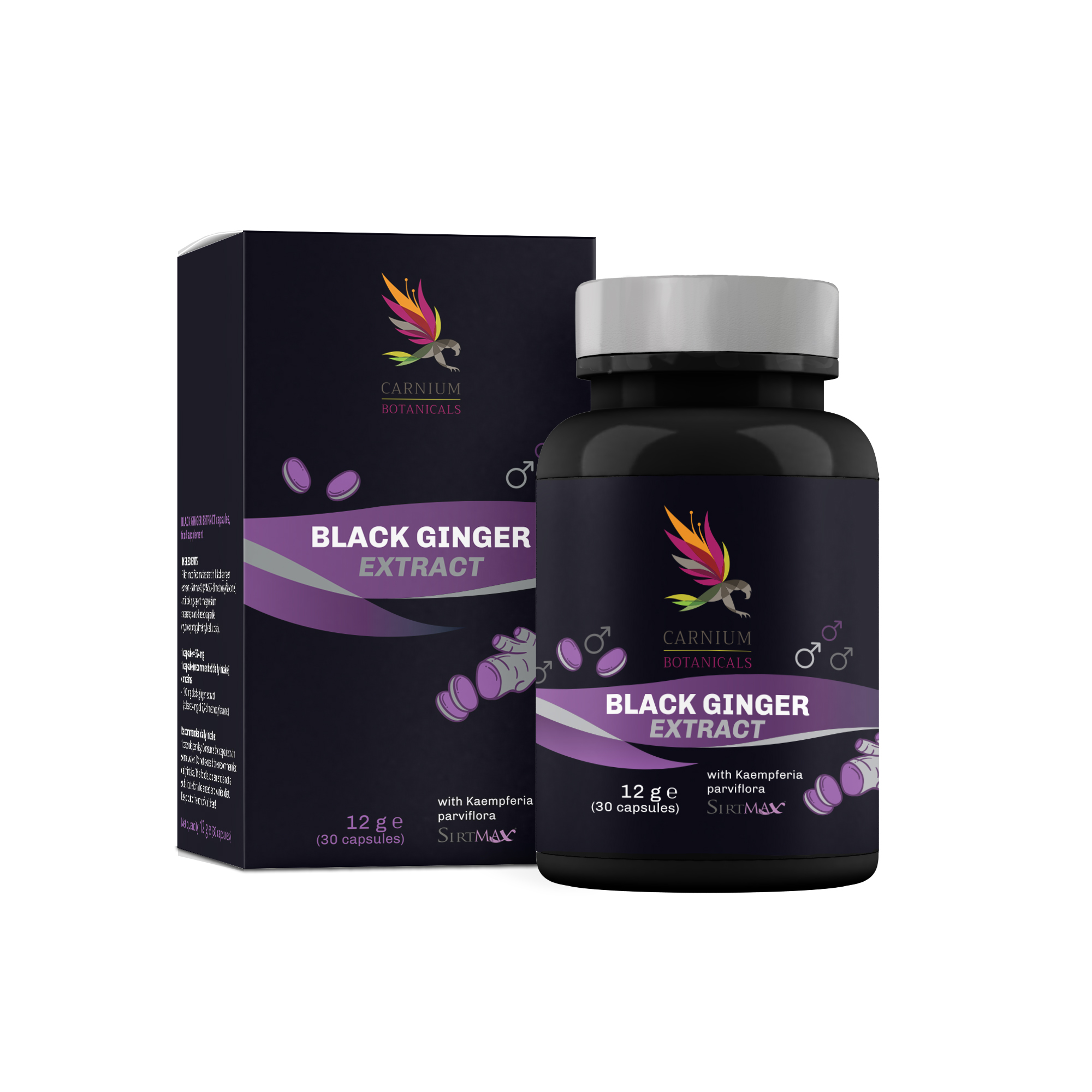 Black Ginger Extract – BestFromSlovenia